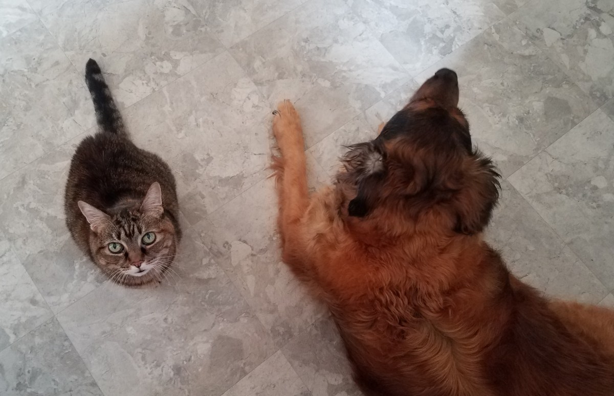 Play by Play Day by Day with Amy Lawrence | My unconventional, unique ...